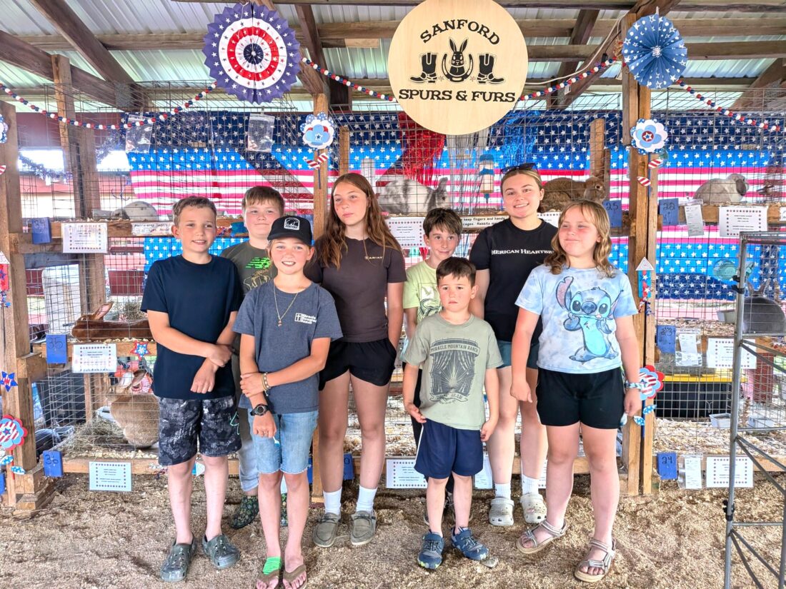 Rabbit show winners | News, Sports, Jobs - Times Observer